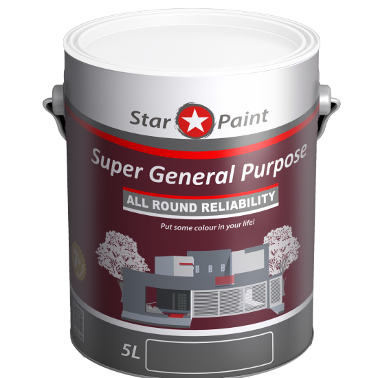 Star Solar Shield - Star Paint